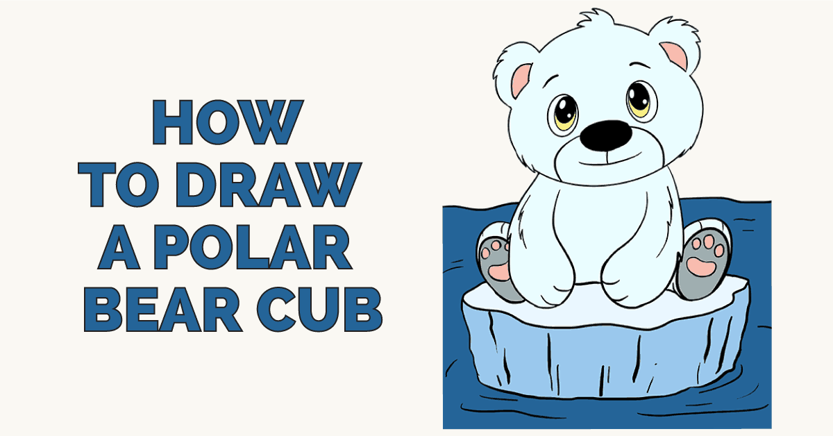  How To Draw A Polar Bear Cub In A Few Easy Steps EasyDrawingGuides
