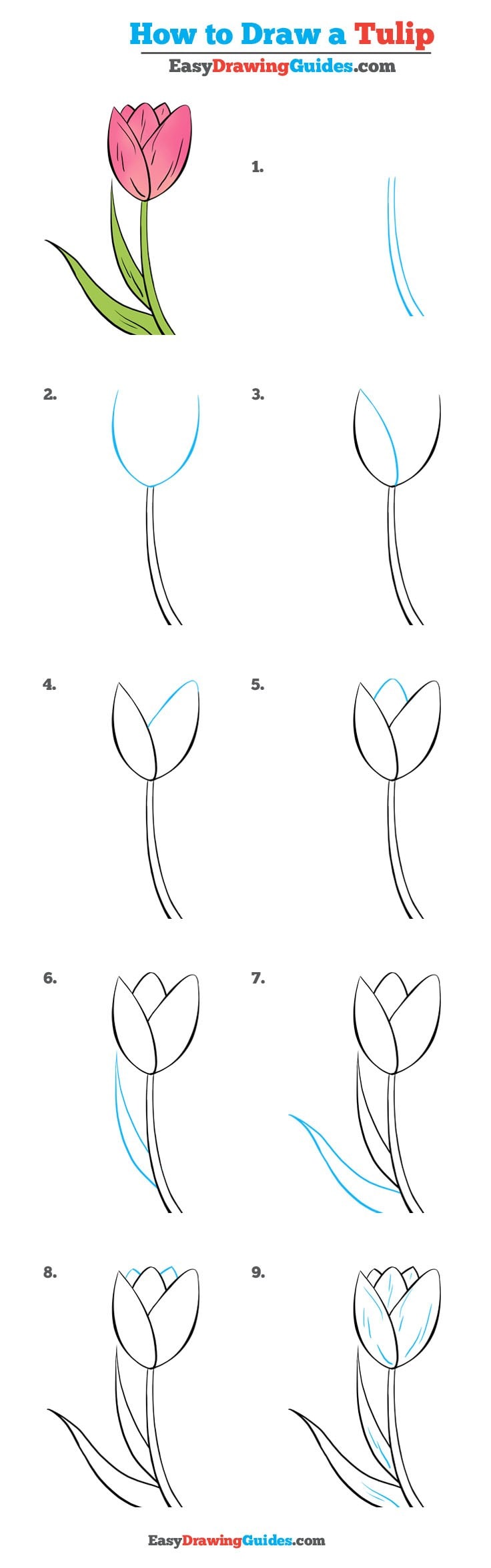 How To Draw A Tulip Really Easy Drawing Tutorial