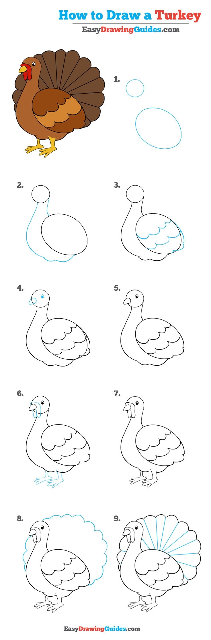 How To Draw A Turkey Easy Step By Step For Beginners Iridescent color