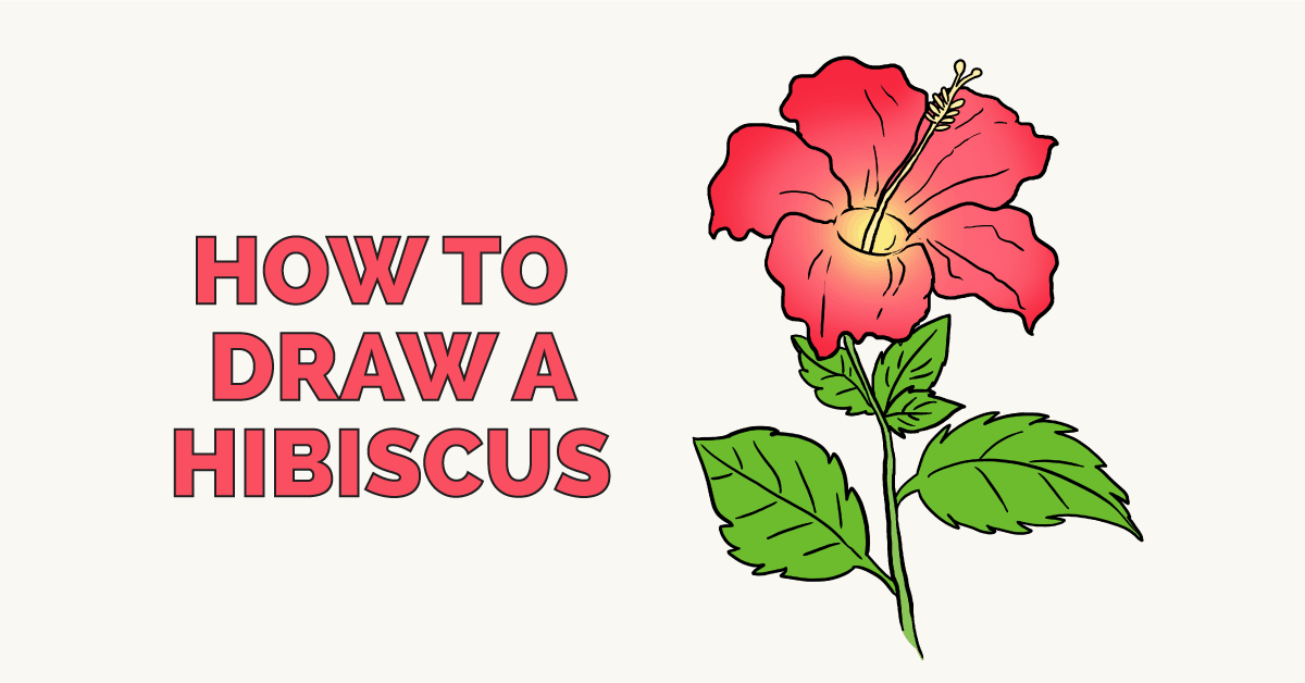 How To Draw A Hibiscus Really Easy Drawing Tutorial