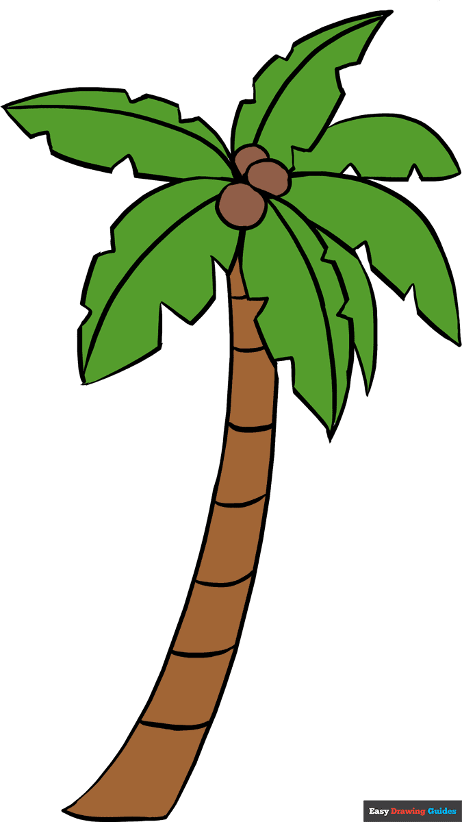 How To Draw A Palm Tree EASY Step By Step Tutorial