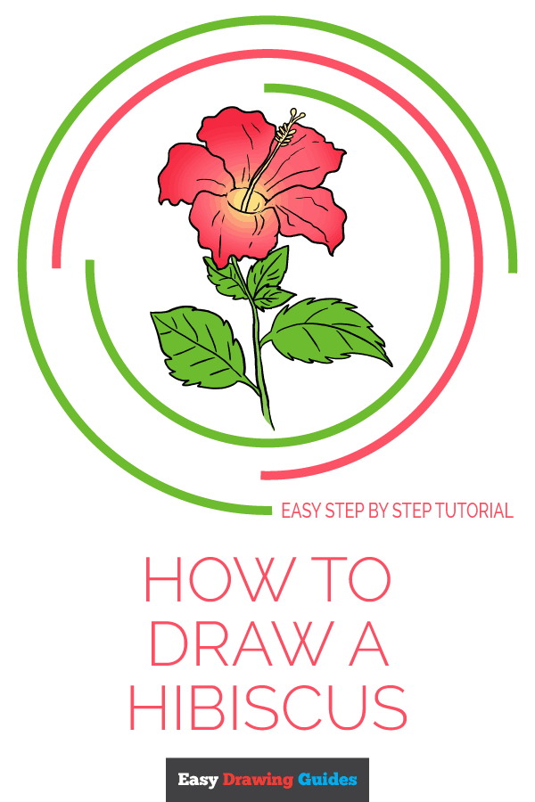 Draw A Hibiscus Flower And Label Its Parts Best Flower Site Draw A Hibiscus Flower And Label Its Parts Best Flower Site
