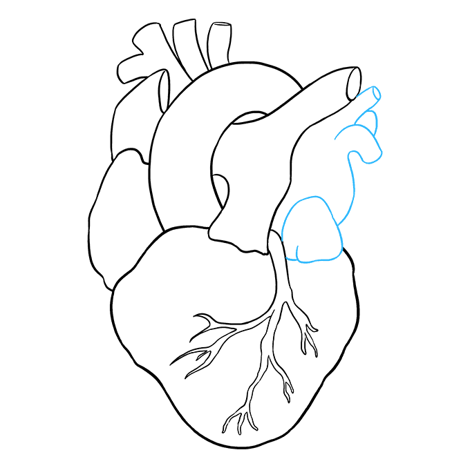 Cartoon Heart Drawing How To Draw A Cartoon Heart Step By 50 OFF