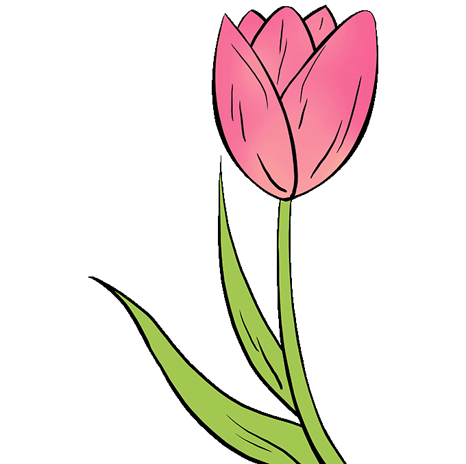How To Draw A Tulip Really Easy Drawing Tutorial