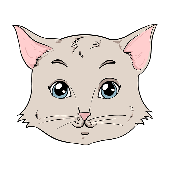 Easy How To Draw A Cat Face Step By Step Suh Fames1983