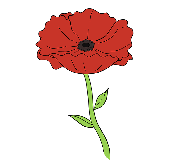 How To Draw A Poppy Really Easy Drawing Tutorial