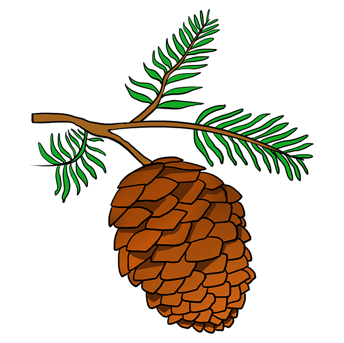 How To Draw A Pinecone Really Easy Drawing Tutorial