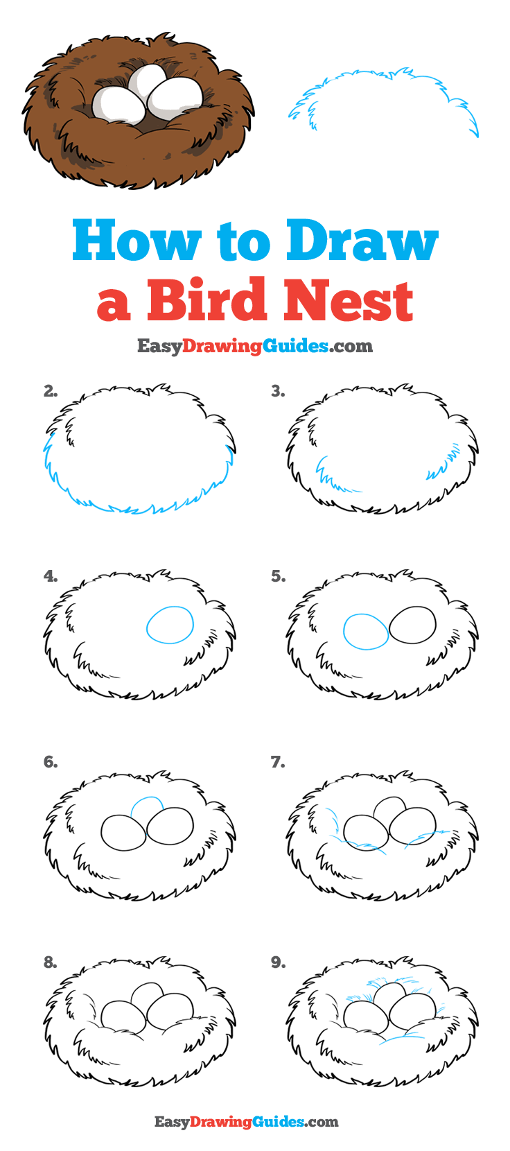 How To Draw A Bird Nest Really Easy Drawing Tutorial
