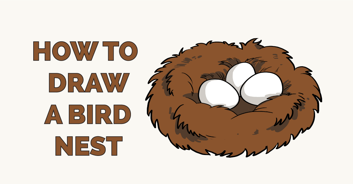 How To Draw A Bird Nest Really Easy Drawing Tutorial