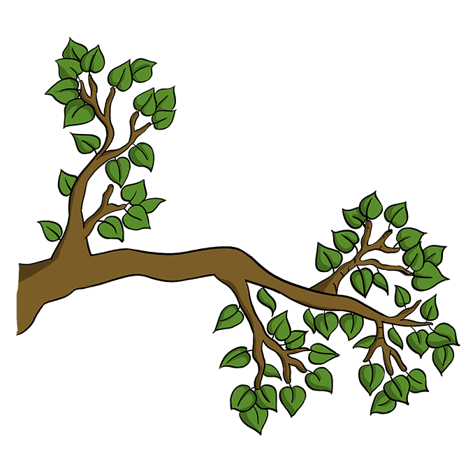 How To Teach Tree Limb Drawing Rosado Recithe