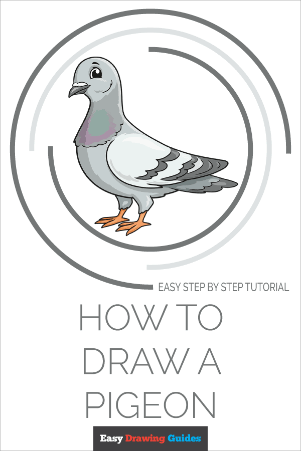 How To Draw A Pigeon Really Easy Drawing Tutorial How To Draw A Pigeon Really Easy Drawing Tutorial