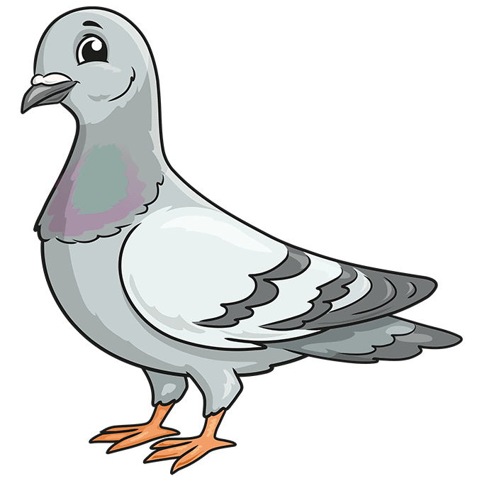How To Draw A Pigeon Really Easy Drawing Tutorial How To Draw A Pigeon Really Easy Drawing Tutorial