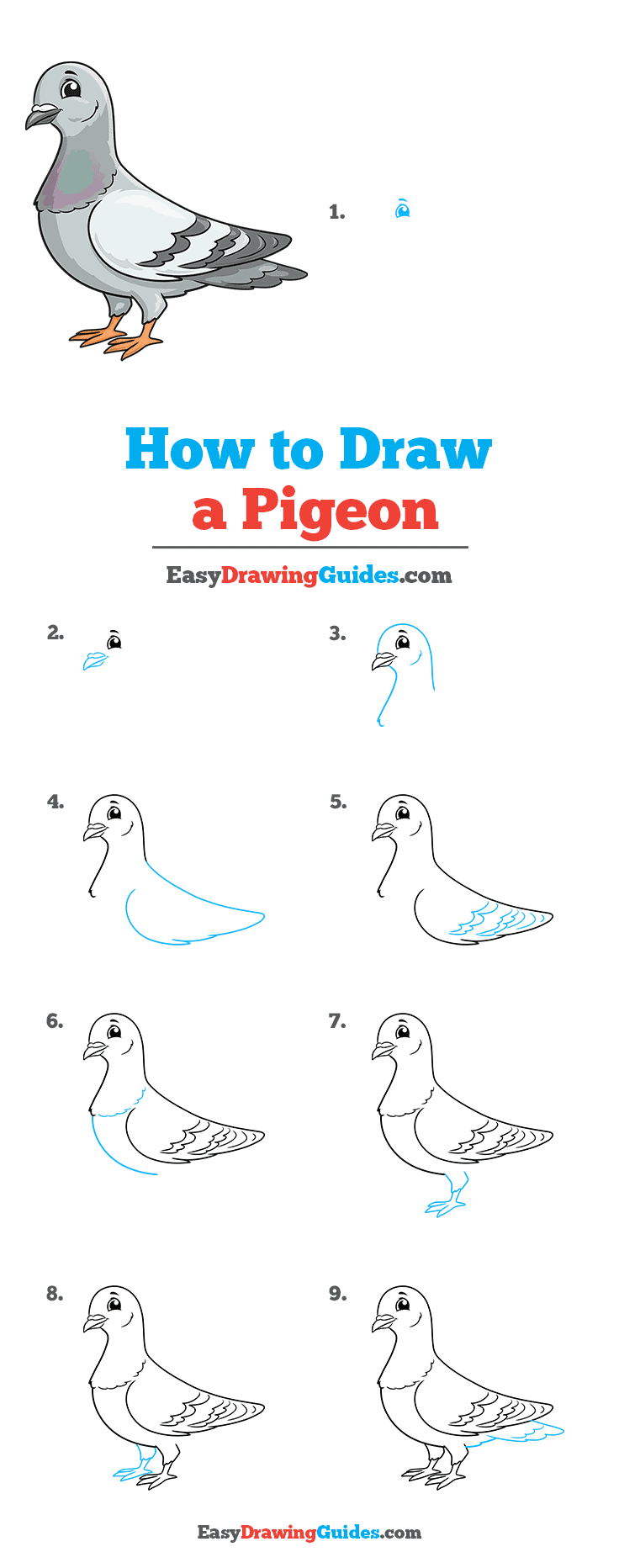 How To Draw A Pigeon Really Easy Drawing Tutorial How To Draw A Pigeon Really Easy Drawing Tutorial