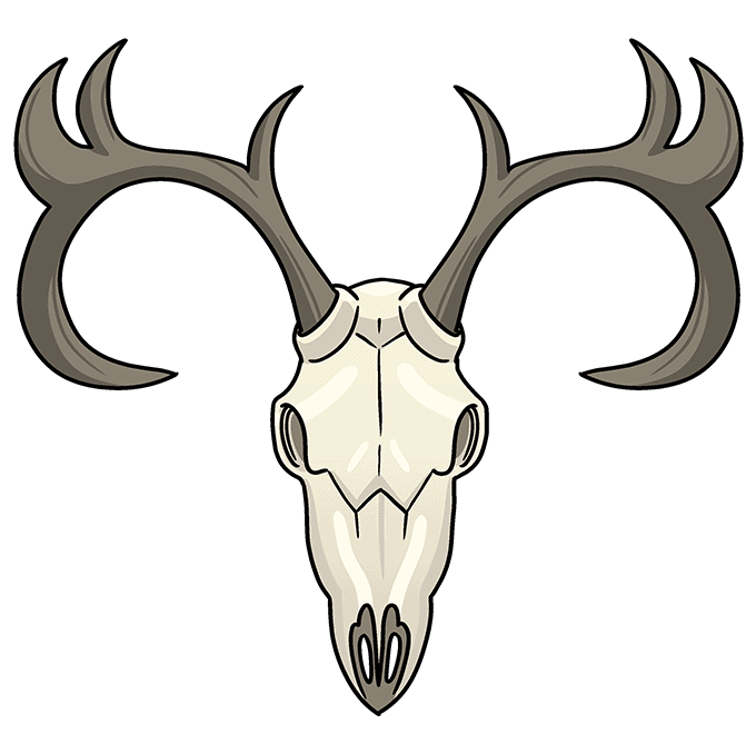 How To Draw A Deer Skull Really Easy Drawing Tutorial