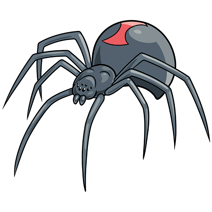 How To Draw A Black Widow Spider Easy Spivey Ablightmed