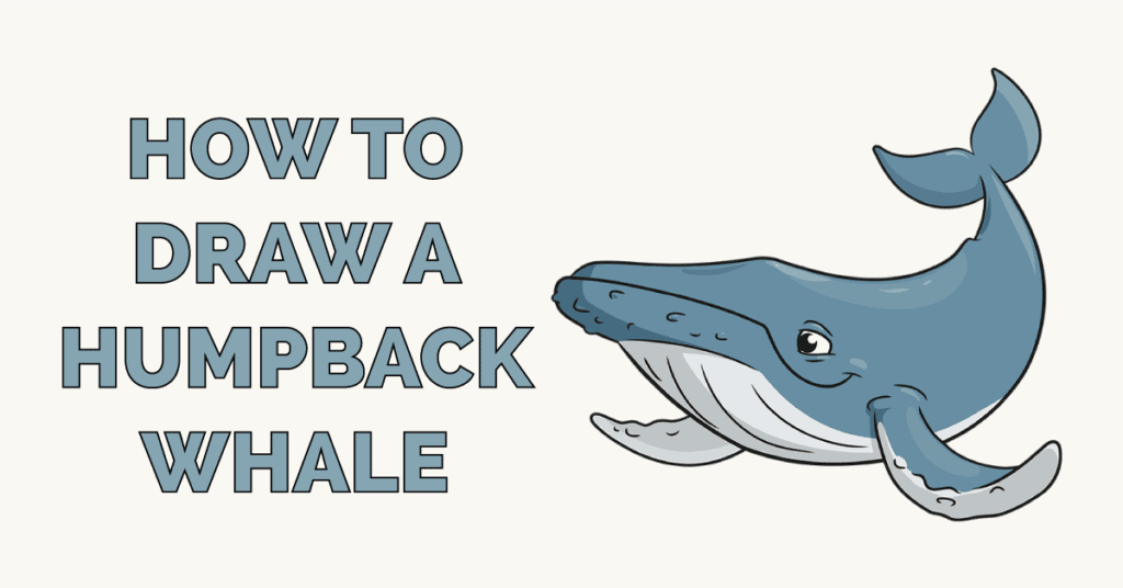Humpback Whale Drawing For Kids