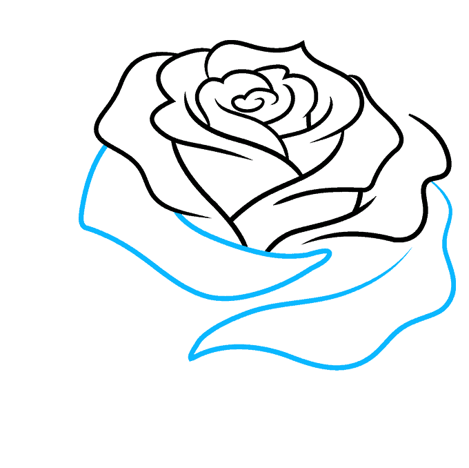 How To Draw A Perfect Flower Step By Step