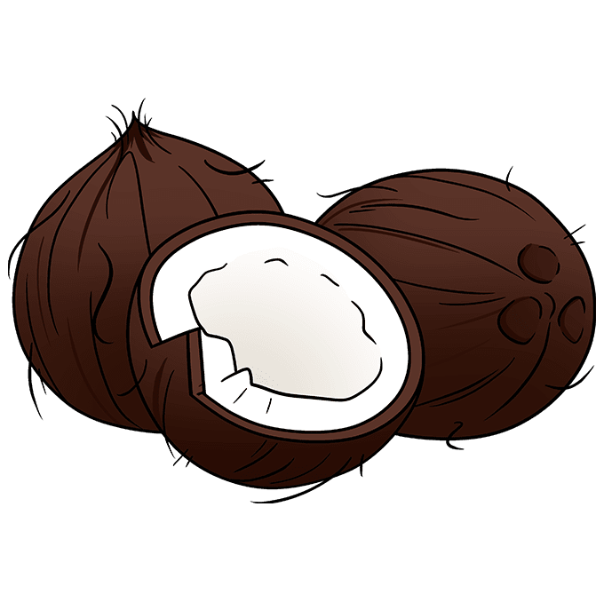 How To Draw A Coconut Really Easy Drawing Tutorial