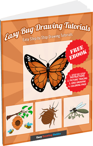 Easy Bug Drawing Tutorials - Easy Drawing Guides