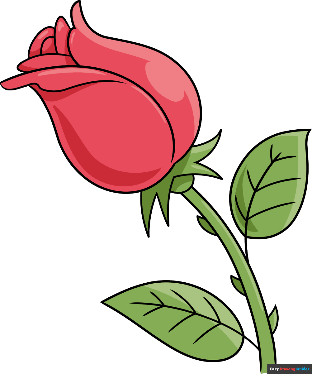 Easy Step by step Rose Drawing For Kids Really Easy Drawing Tutorial