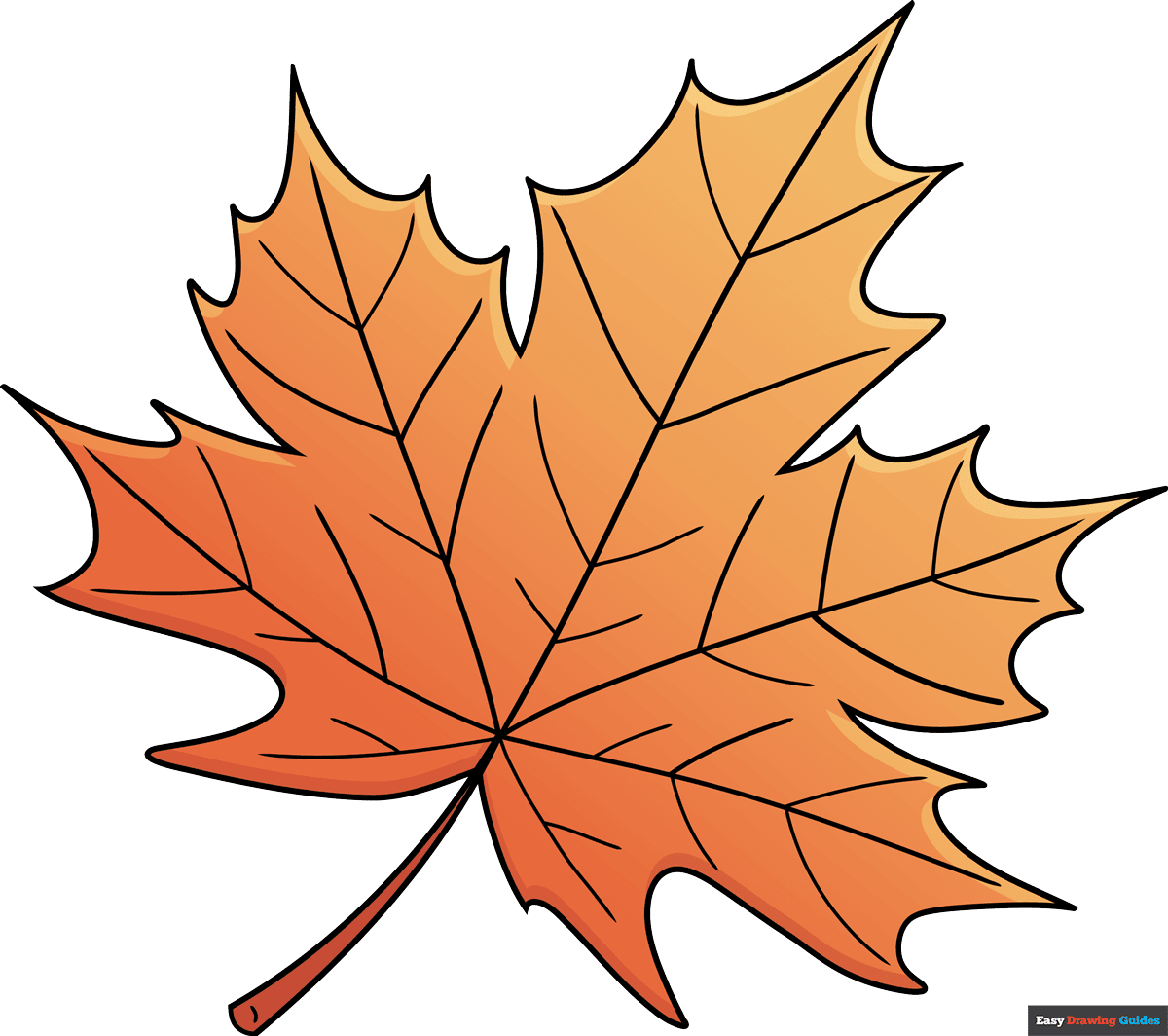 Easy How To Draw A Maple Leaf Tutorial And Maple Leaf Vrogue co