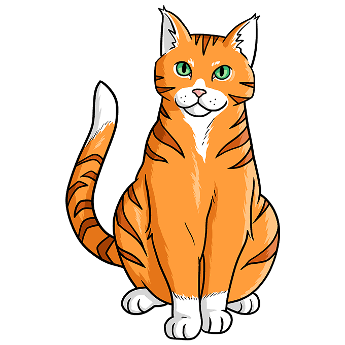 How To Draw An Orange Tabby Cat Really Easy Drawing Tutorial