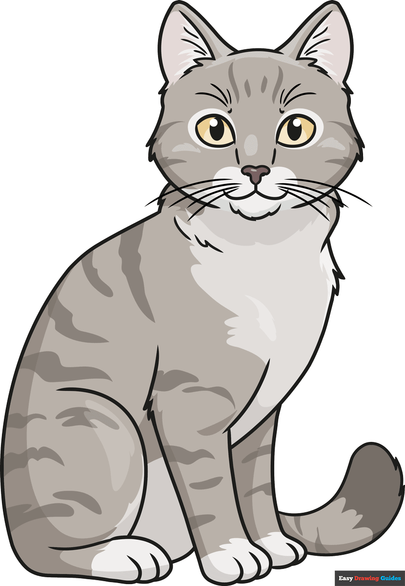  An Astounding Compilation Of Over 999 Cat Drawings In Full 4K