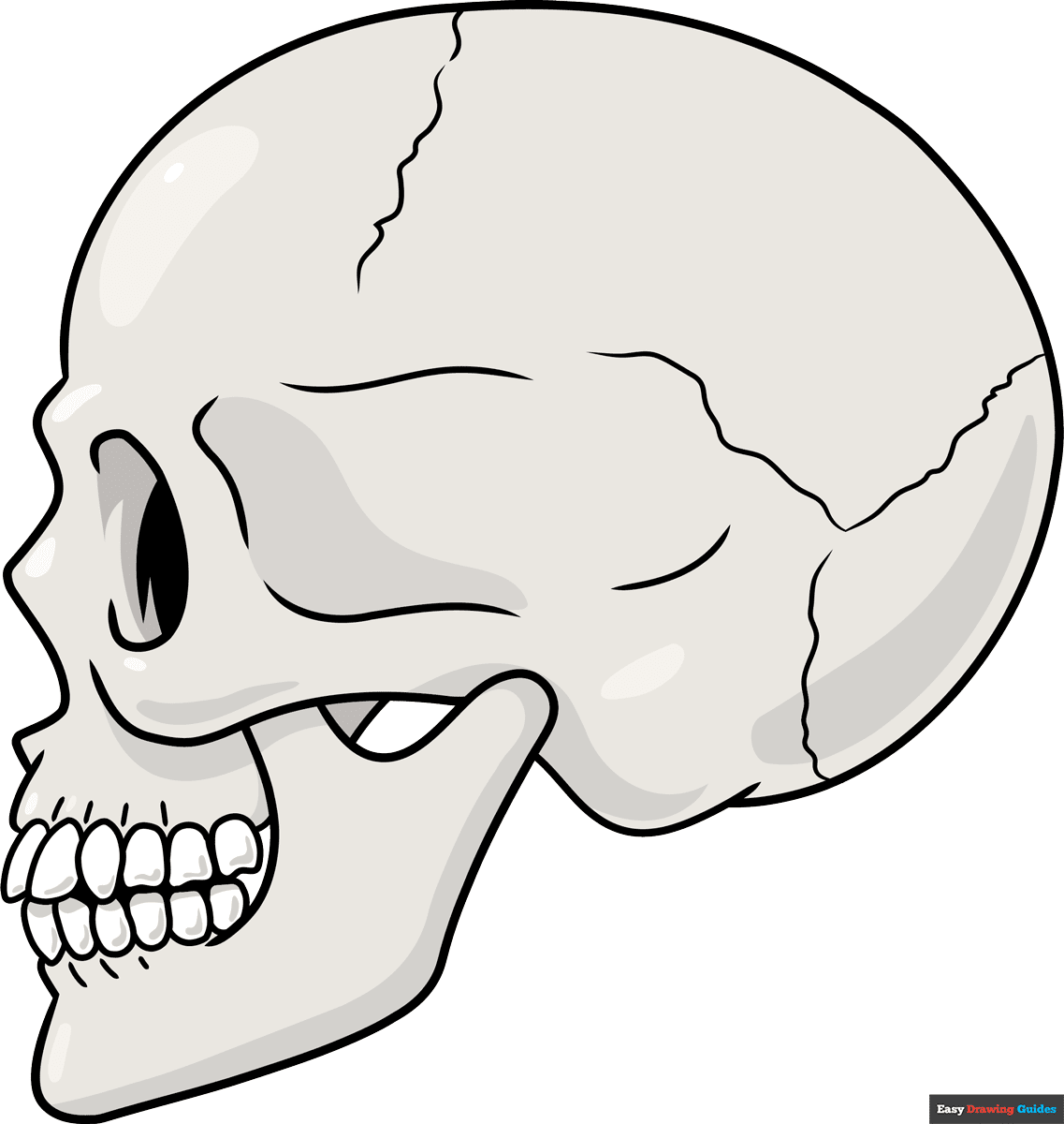 How To Draw A Skull In Profile Really Easy Drawing Tutorial How To Draw A Skull In Profile Really Easy Drawing Tutorial