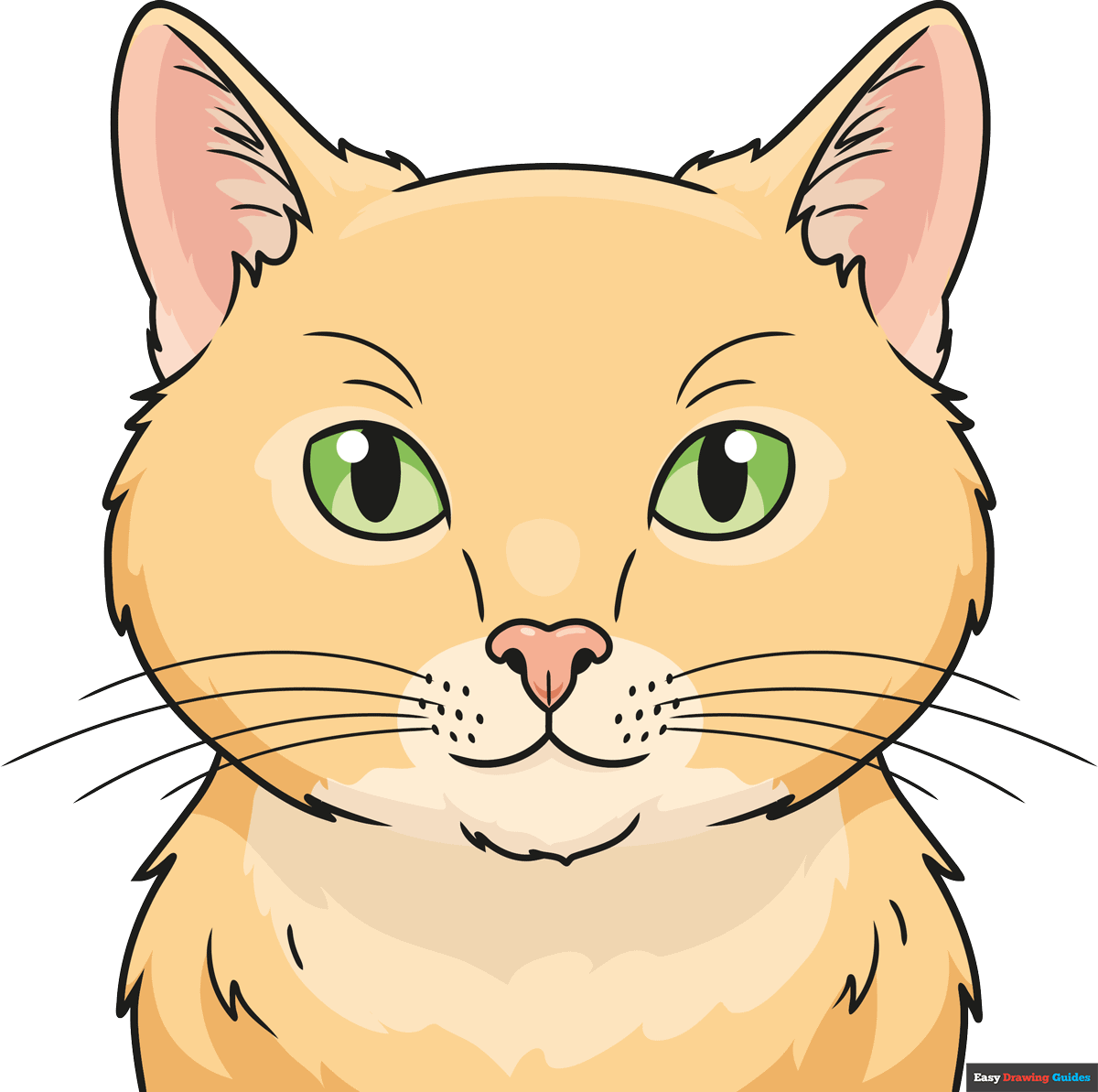 How To Draw A Realistic Cat Body