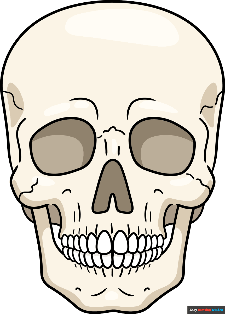How To Draw A Realistic Skull Really Easy Drawing Tutorial How To Draw A Realistic Skull Really Easy Drawing Tutorial