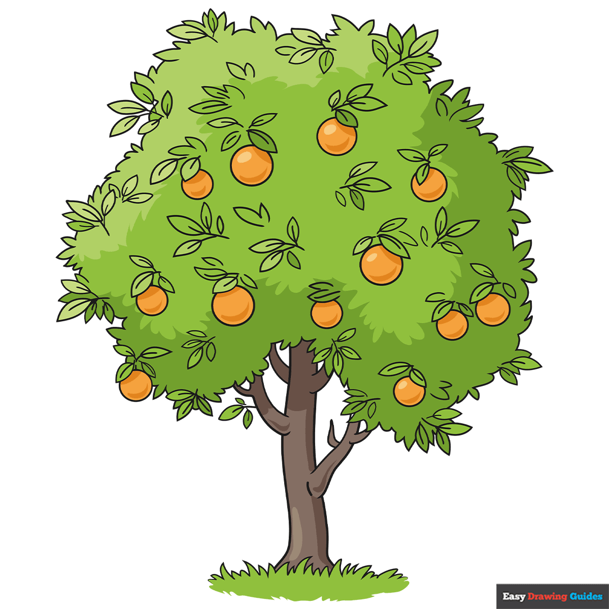 How To Draw Orange Picture Infoupdate