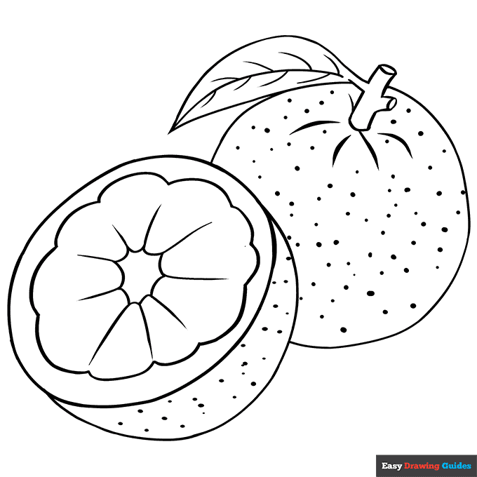 Orange Coloring Page Easy Drawing Guides Orange Coloring Page Easy Drawing Guides