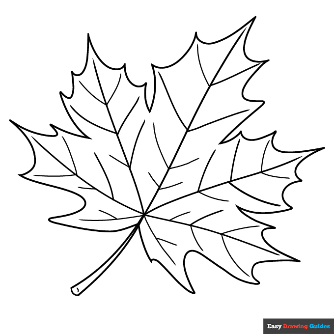 Maple Leaf Coloring Page Easy Drawing Guides Maple Leaf Coloring Page Easy Drawing Guides