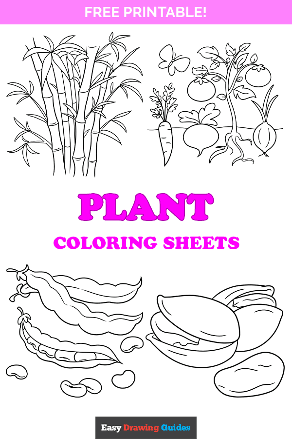 Free Printable Plant Coloring Pages For Kids