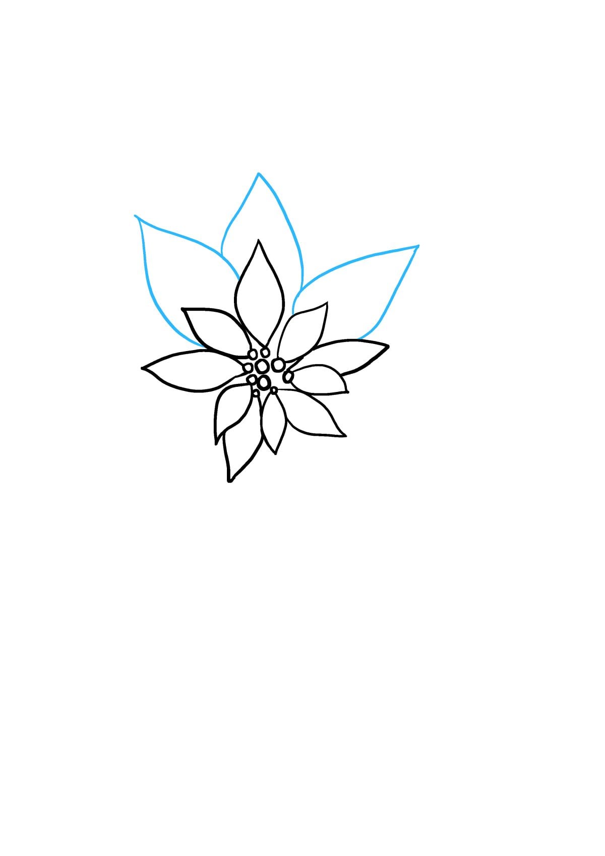 How To Draw A Poinsettia Easy