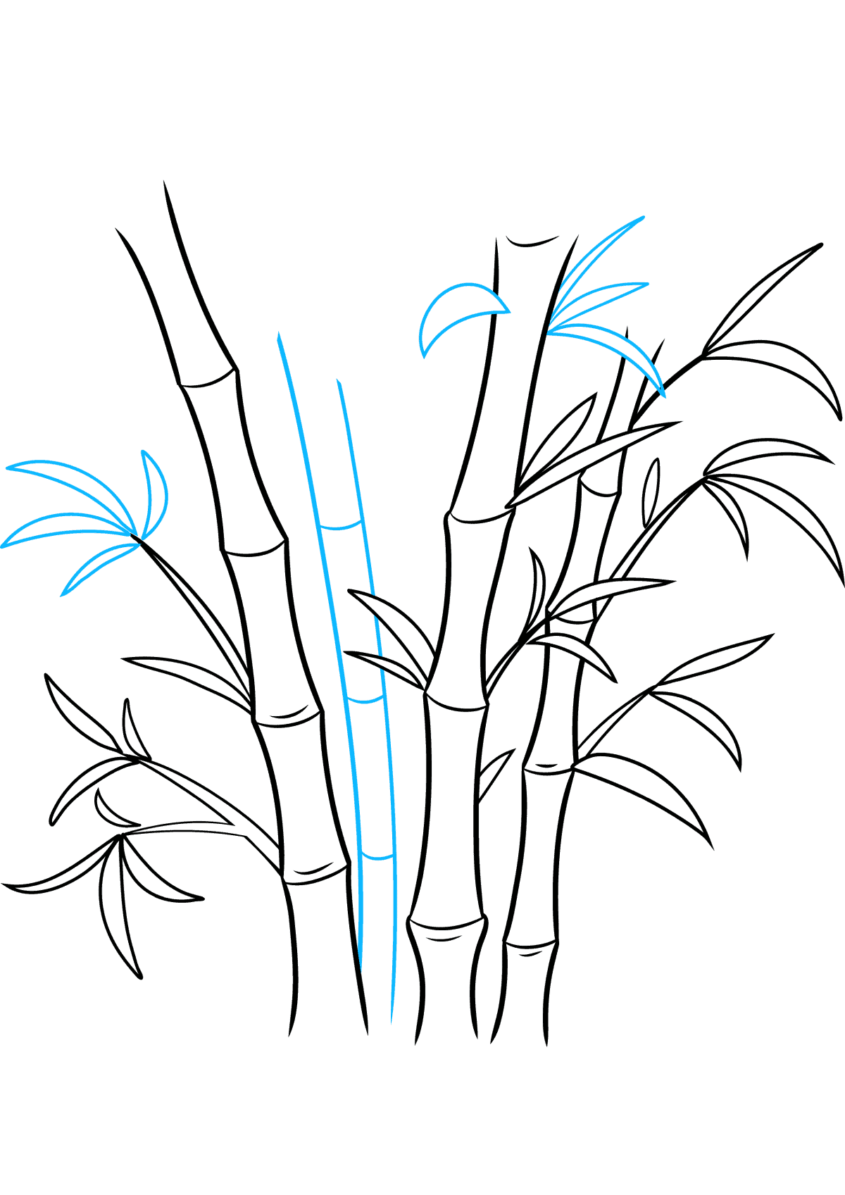 How To Draw Bamboo Easy For Kids
