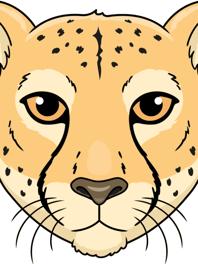 Easy Cheetah Face Step by Step Tutorial Easy Drawing Guides