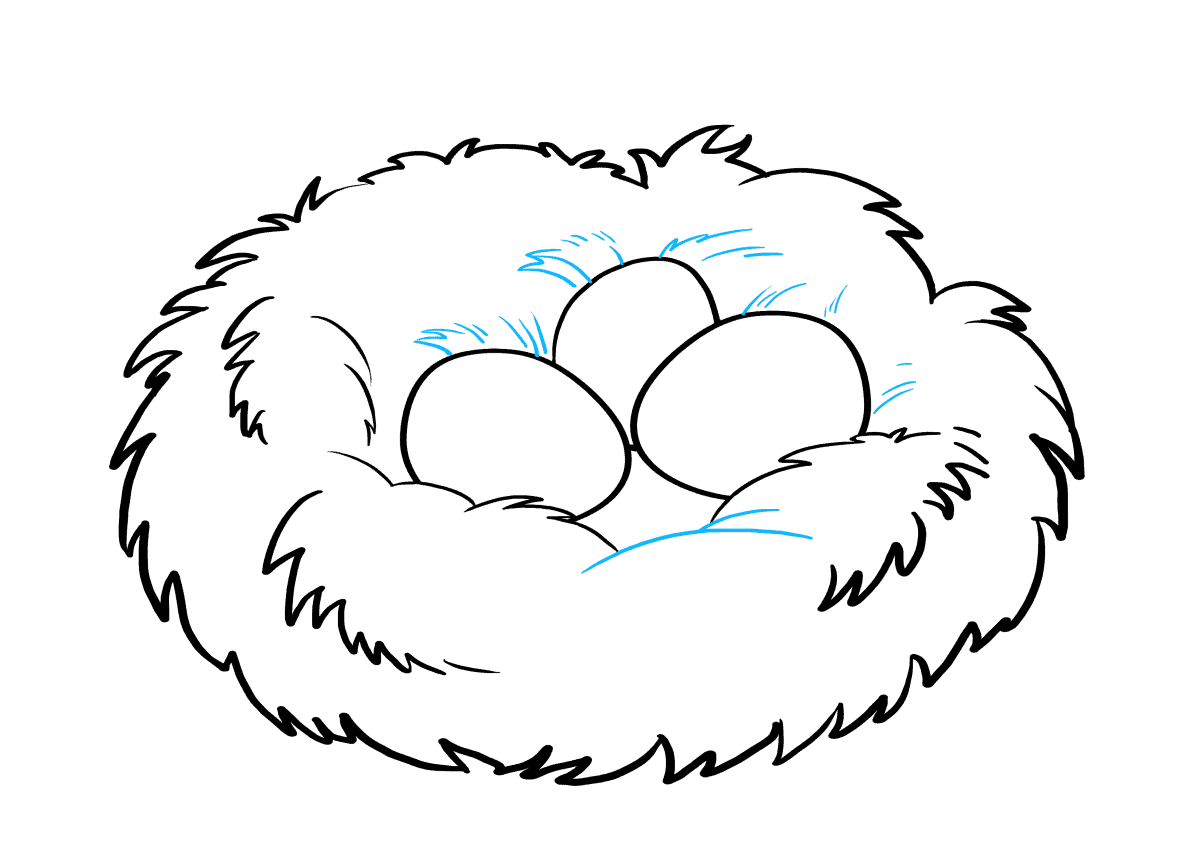 How To Draw Bird Nest Step By Step