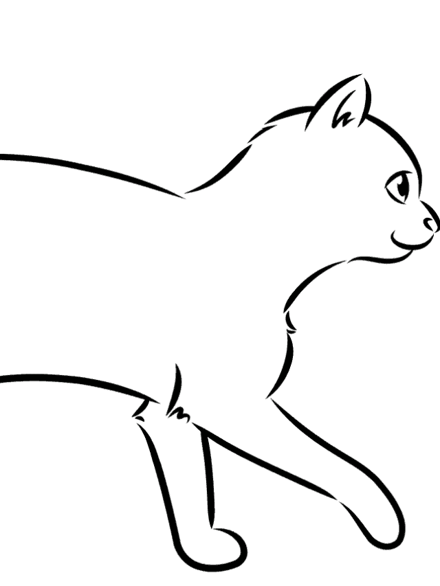 Easy Walking Cat Outline Can Step-by-Step Tutorial - Easy Drawing Guides
