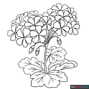 Geranium Coloring Page | Easy Drawing Guides