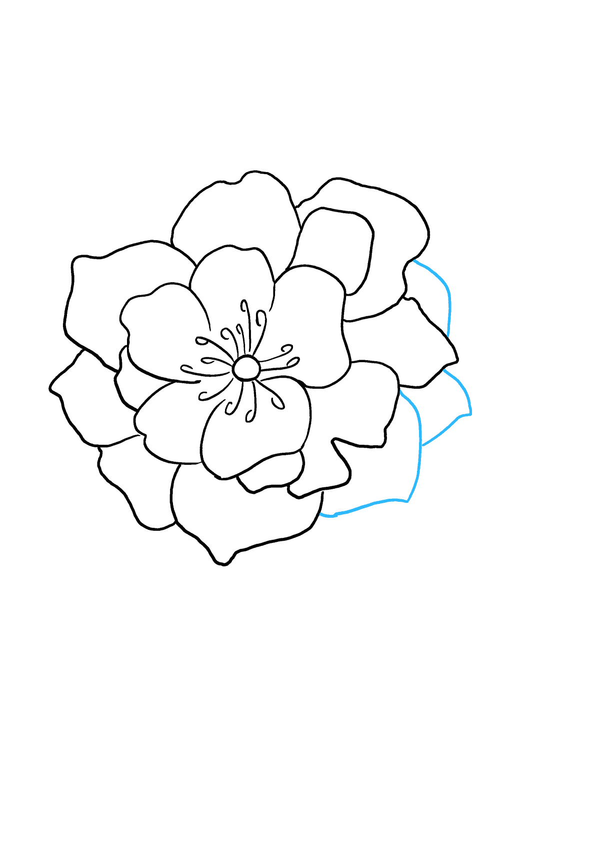 How To Draw A Peony-i Did A Peony Tutorial A Long